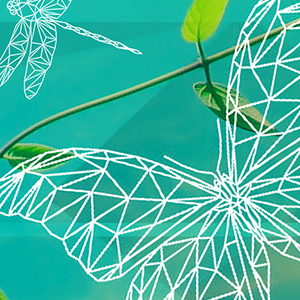 Summer Camp at Little Explorers - 9am to 3pm - Little Explorers School ...