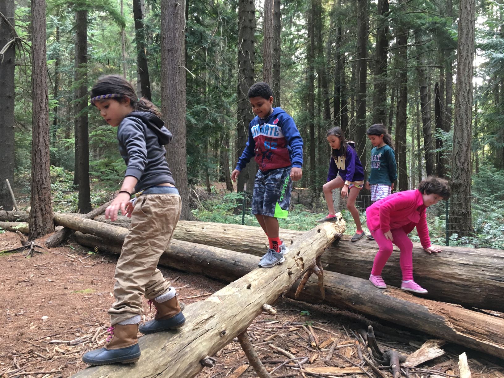 Hamlin Park Nature Camp - Community Nature Programs - 6crickets