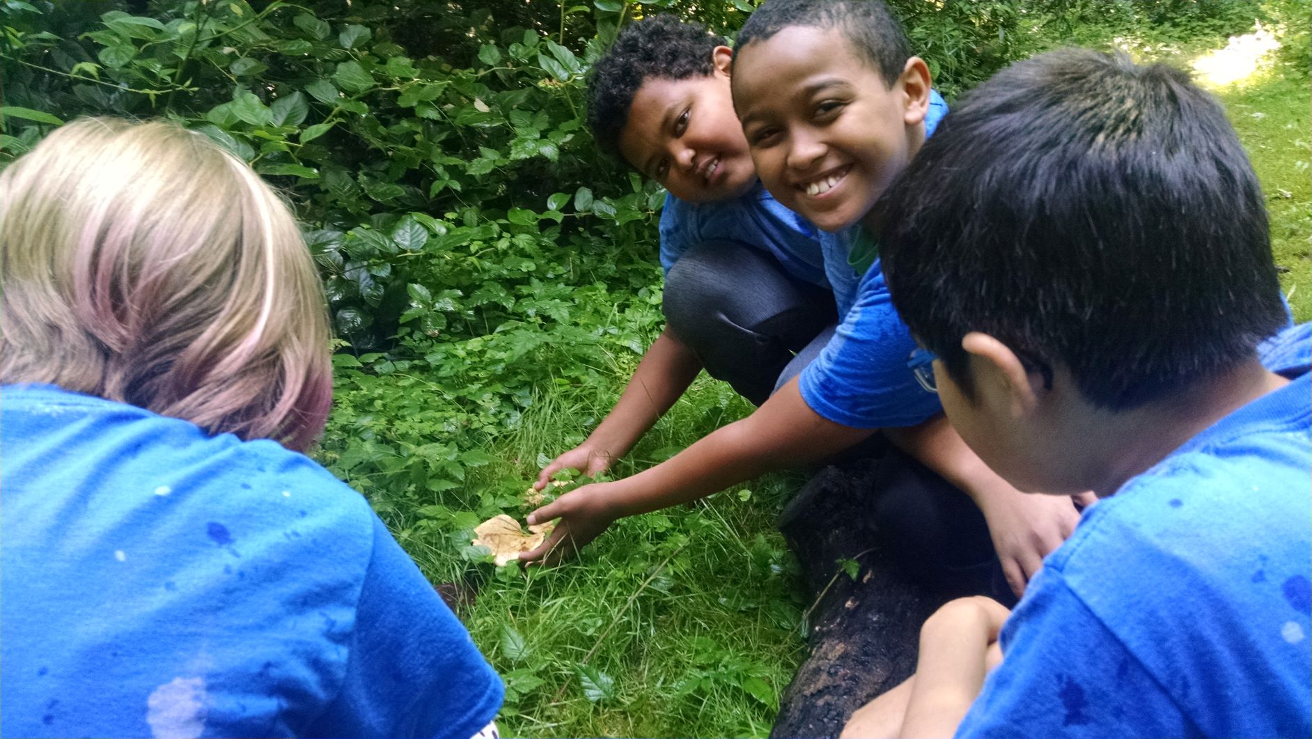 Backyard Botany (Grades 4-6) - Kruckeberg Botanic Garden Foundation ...